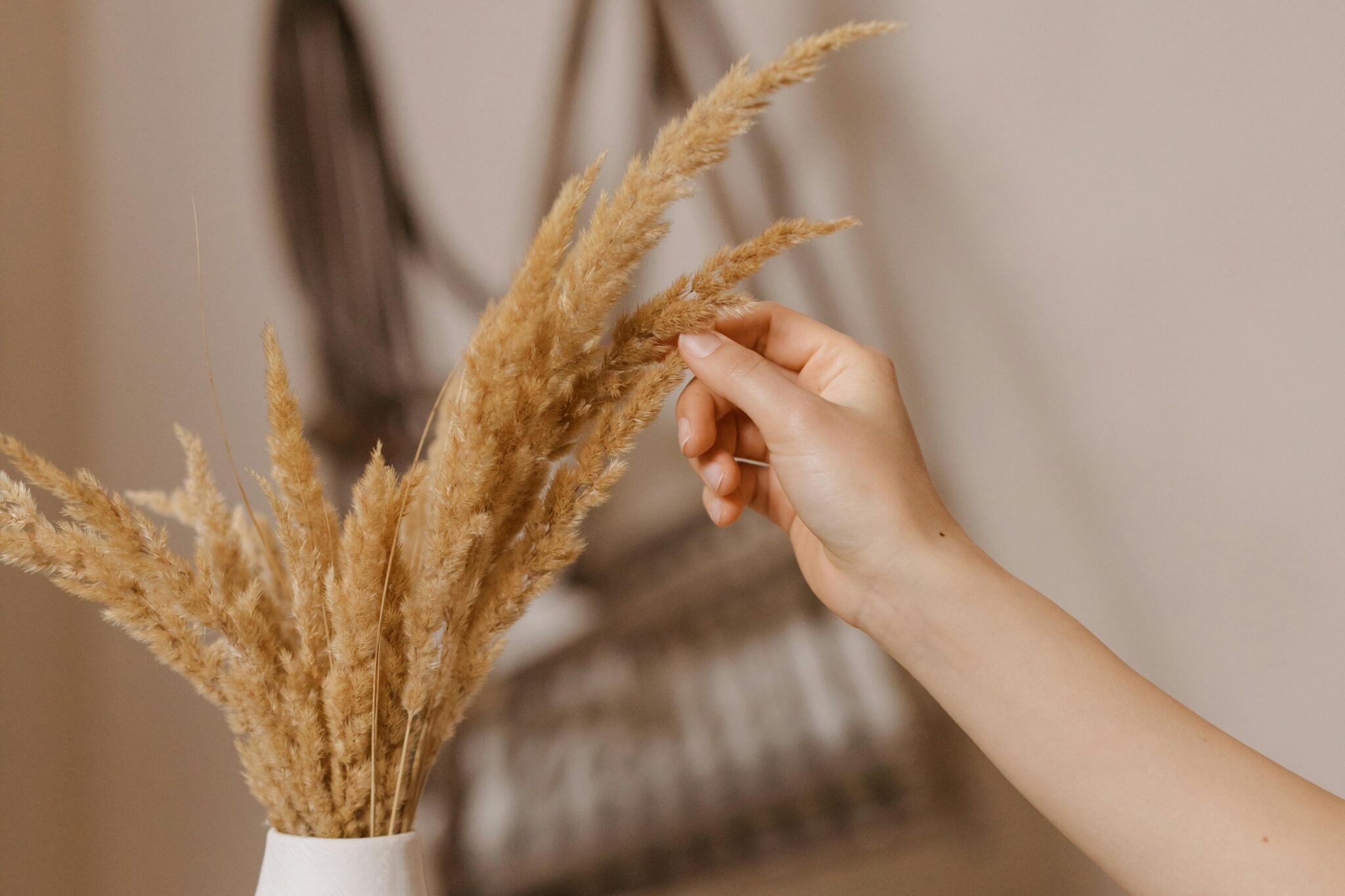 Touch Grass Meaning: What It Really Means Online